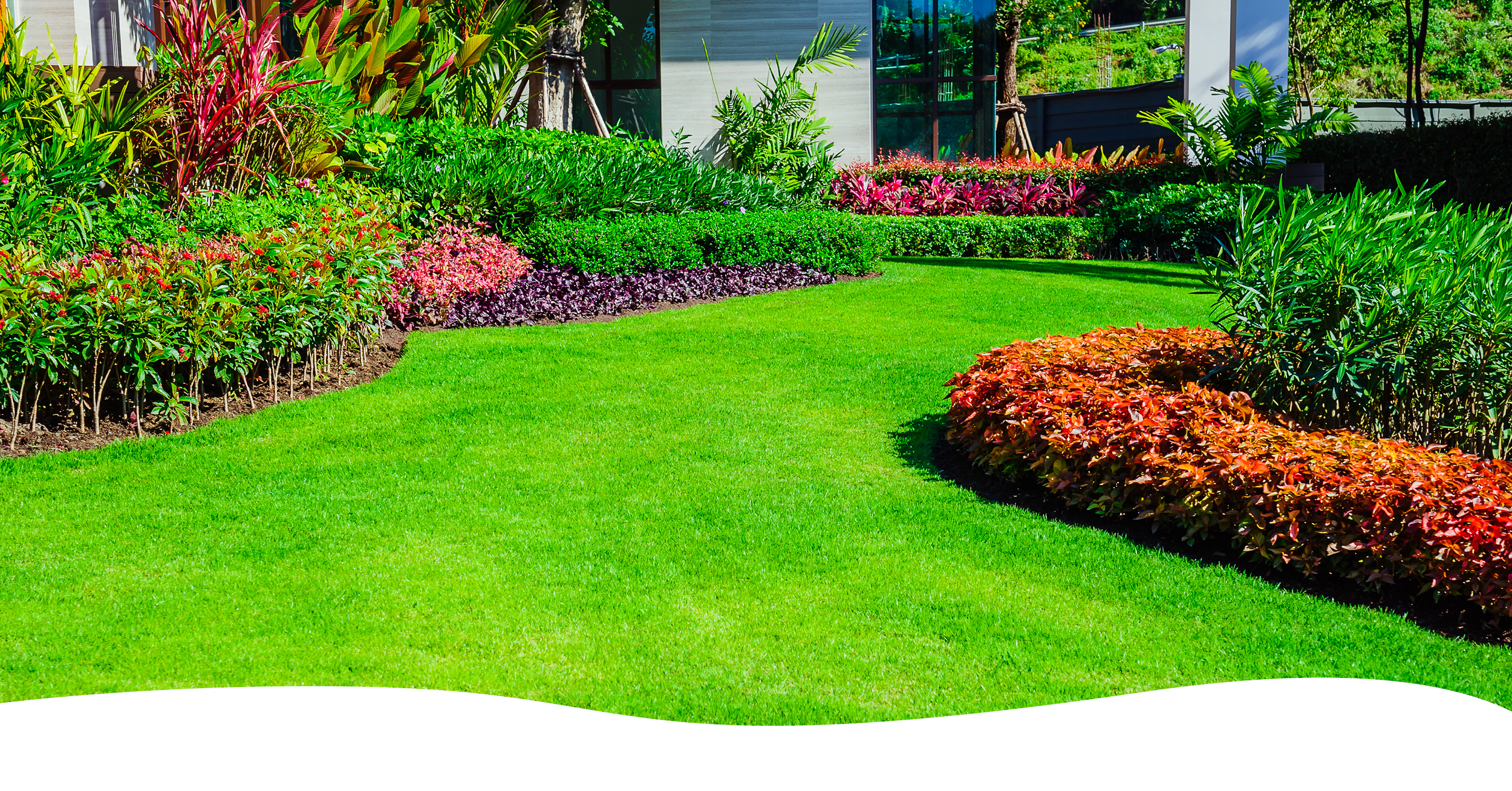 Four Pillars of Exceptional Landscaping - Thrive Magazine
